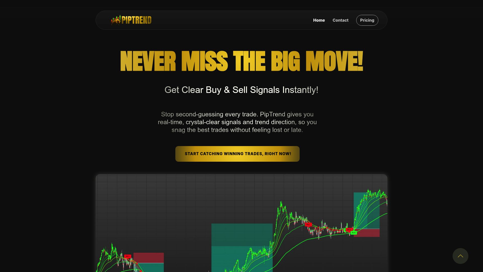 TradingView Plans Versus: Which Option Wins in 2025? - PipTrend